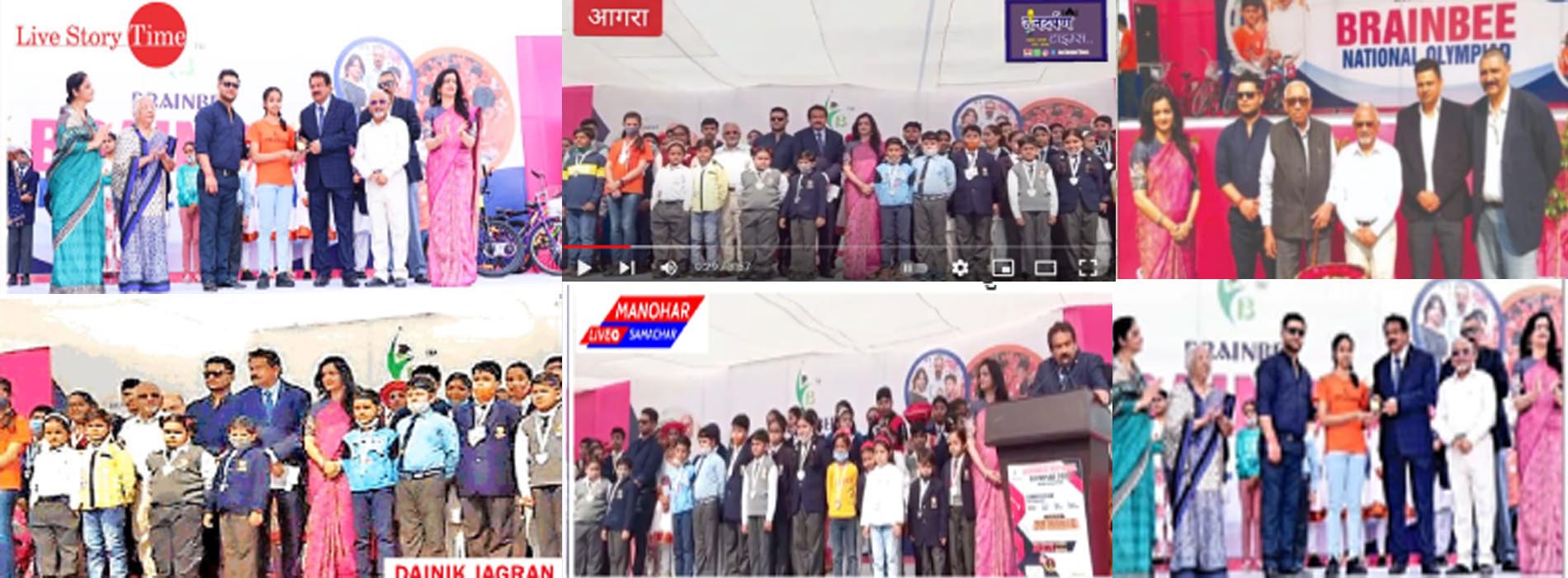 Brainbee - Brain & Personality